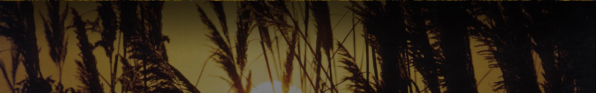 Meet Dr. Tylka Lincoln NE, Monte K. Zysset, Oral and Facial Surgery of ...